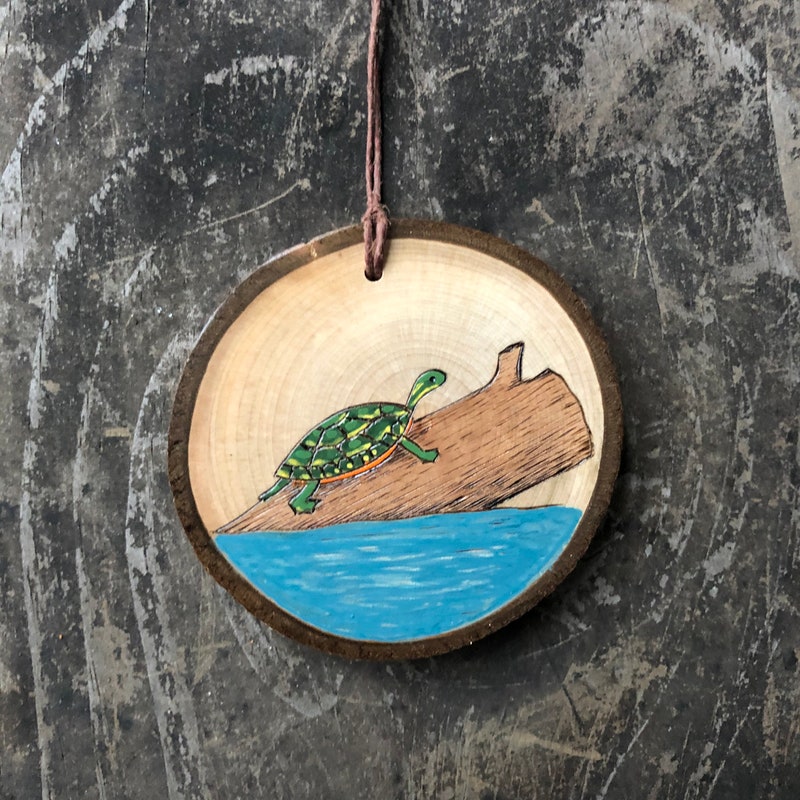 Turtle on Log - Etsy