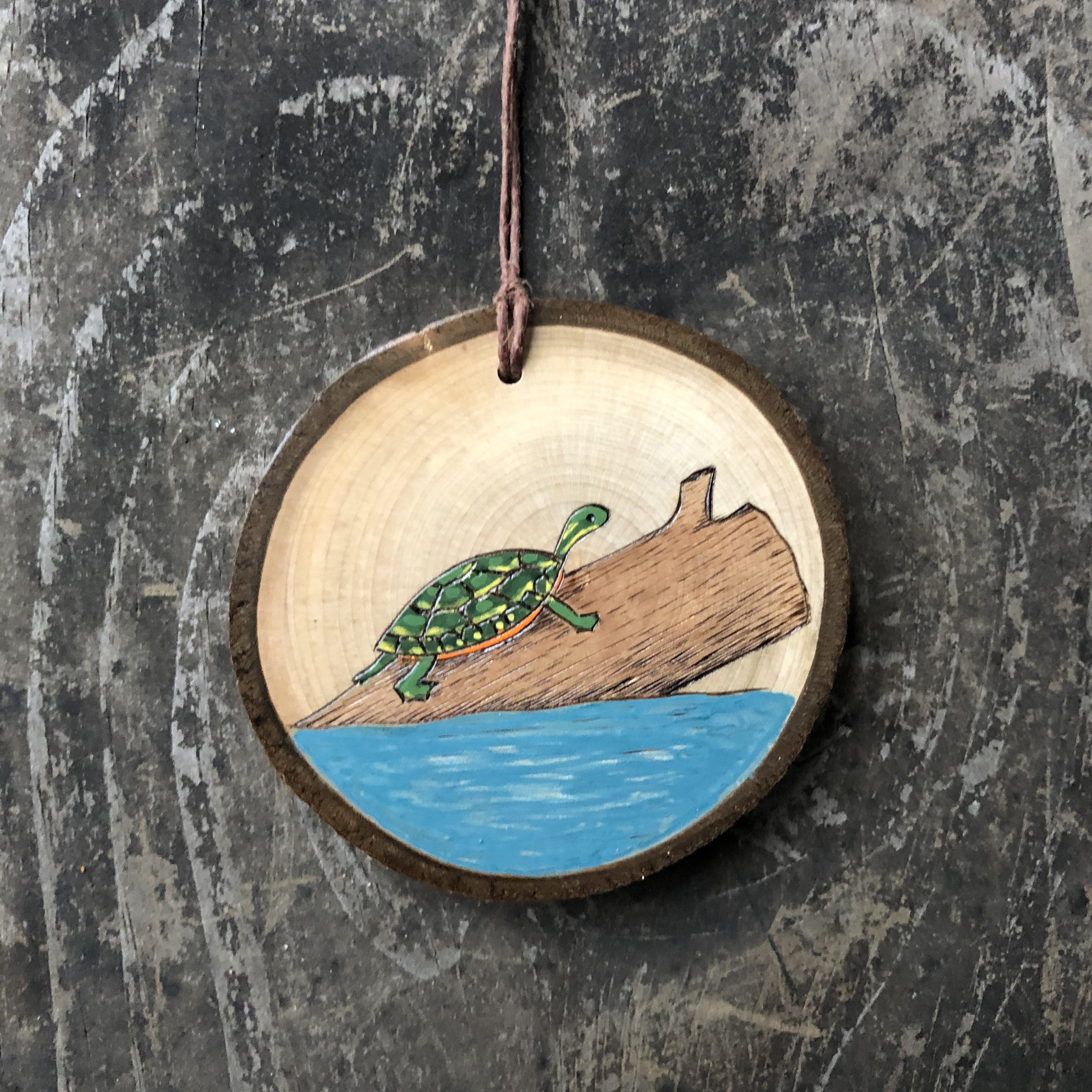 Painted turtle sitting on a log on a wood slice . Hand painted | Etsy