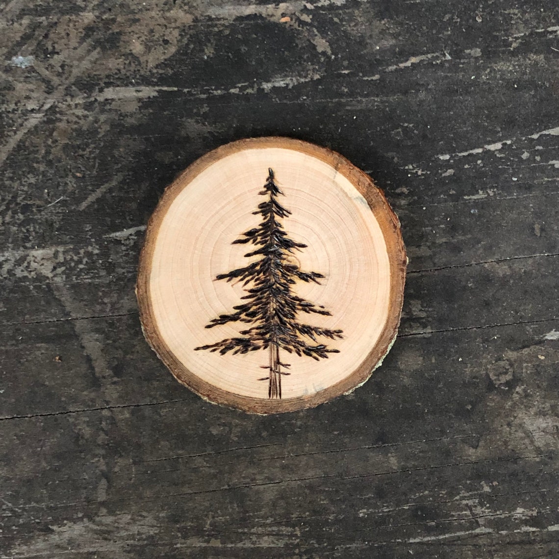Wood Burned Cedar Tree Wood Slice Magnet. Handmade by Forage - Etsy