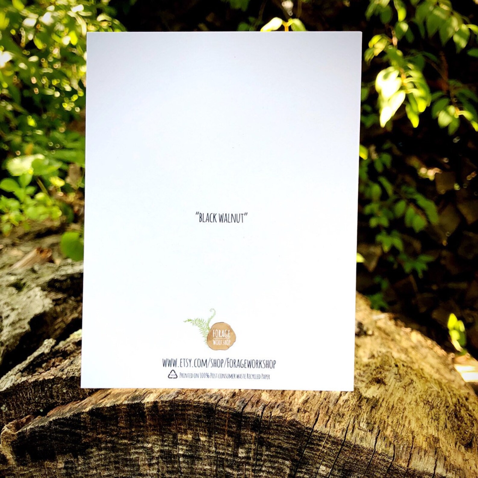 Black Walnut Wood Slice Note Card With Envelope. Printed on 100% ...