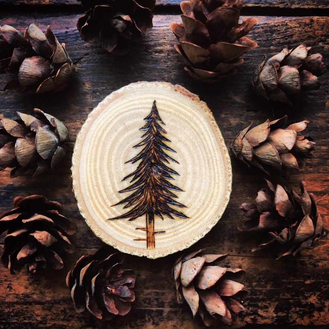 Wood Burned Pine Tree Wood Slice Magnet. Handmade by Forage Workshop ...