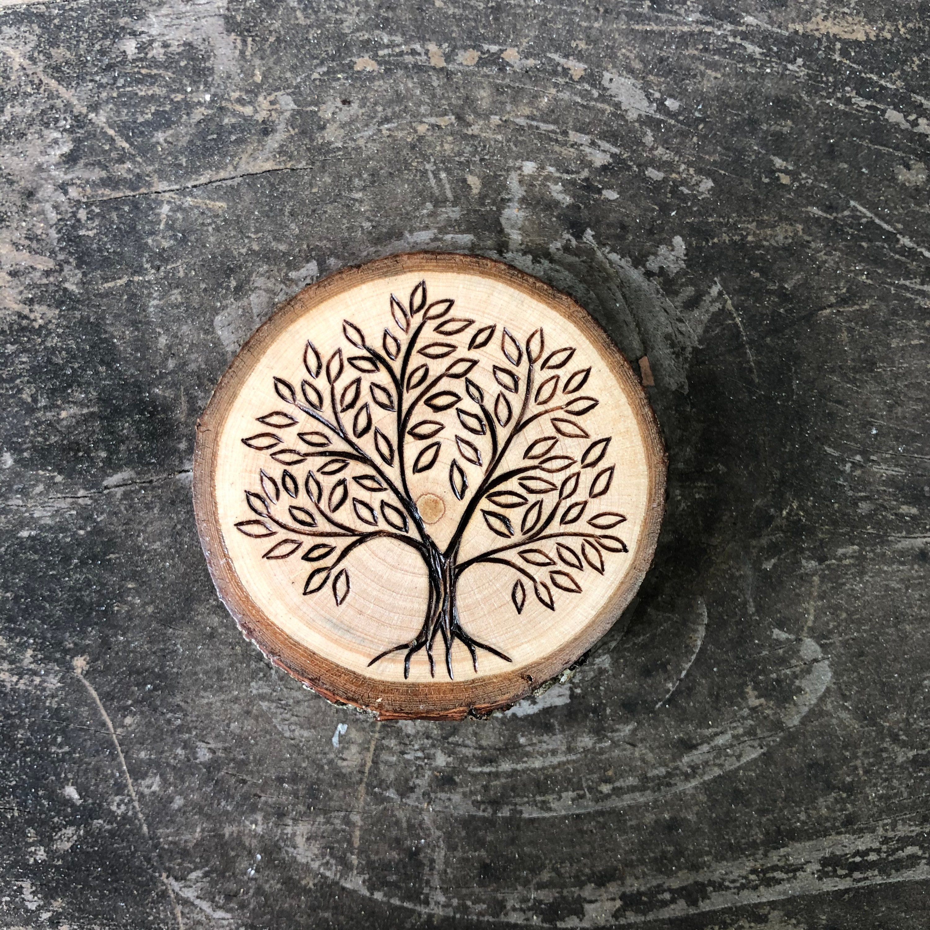 Wood burned tree of life wood slice magnet. Handmade by Forage | Etsy