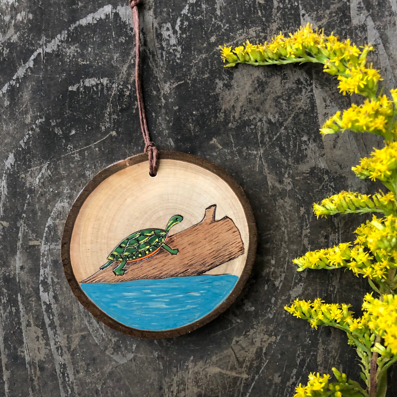 Painted Turtle Sitting on a Log on a Wood Slice . Hand Painted | Etsy