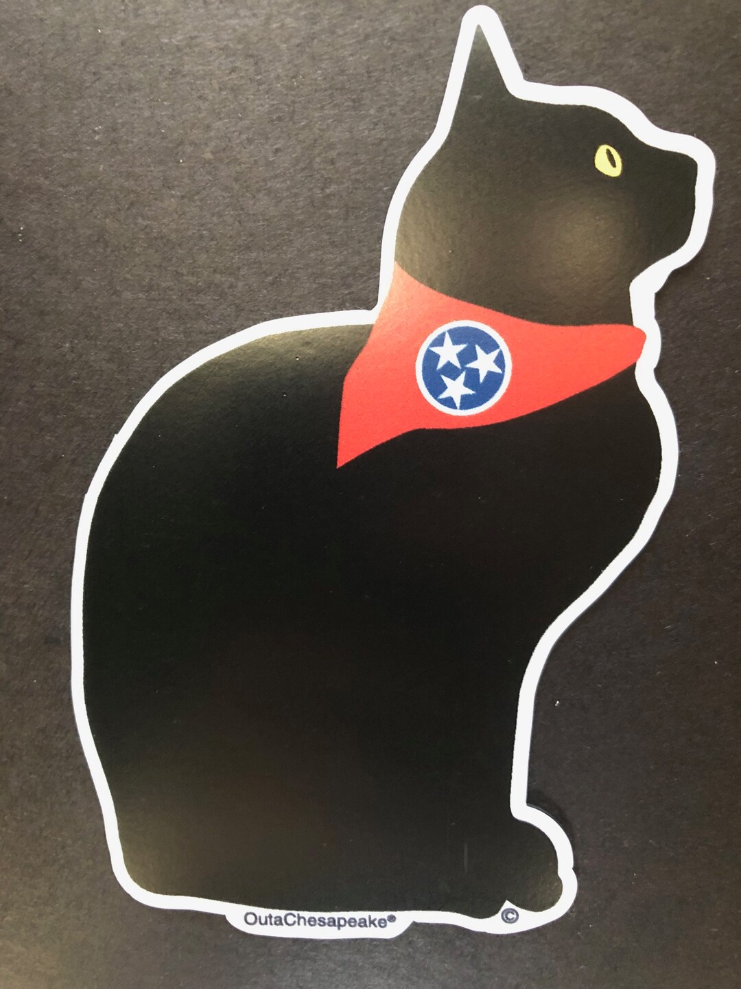 Tennessee Cat 5" Magnet - Etsy