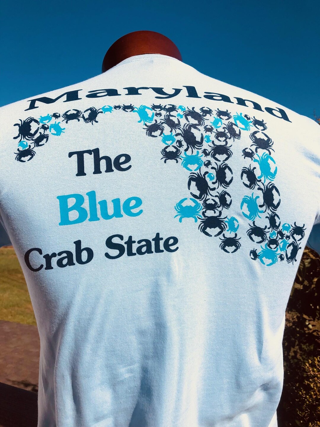 Blue Crab State T-shirt - Etsy
