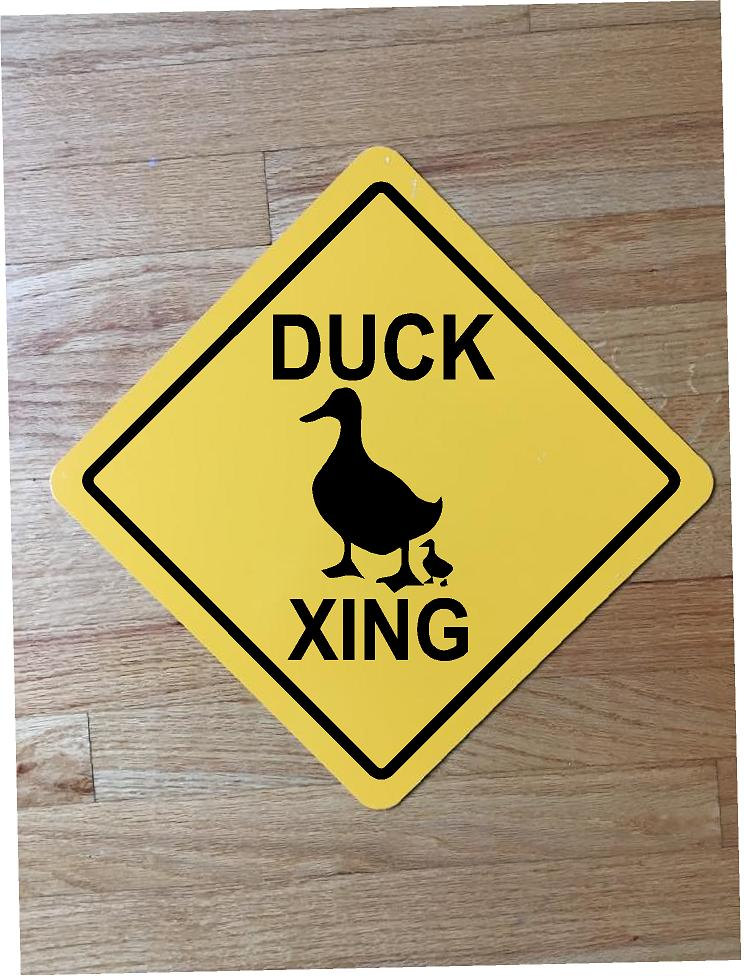 Duck Xing 12x12 Yellow Aluminum Sign | Etsy