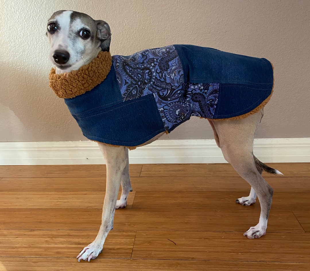Italian Greyhound Coat Patchwork Denim and Sherpa Size Medium - Etsy