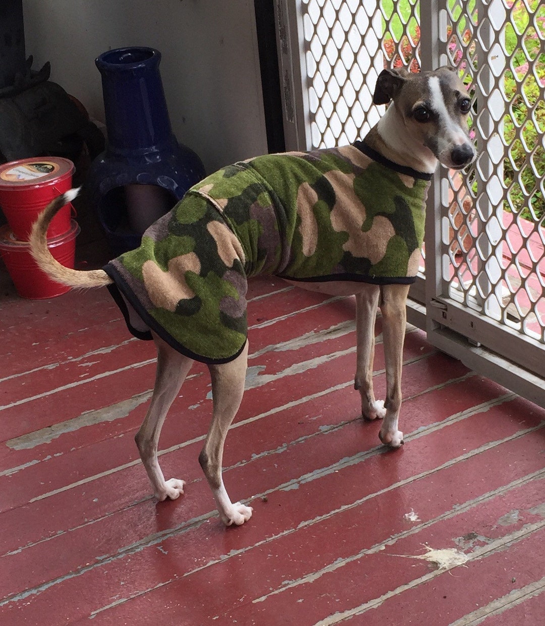 Bath Wrap Robe Cotton Terry Italian Greyhound - Size Small - Etsy