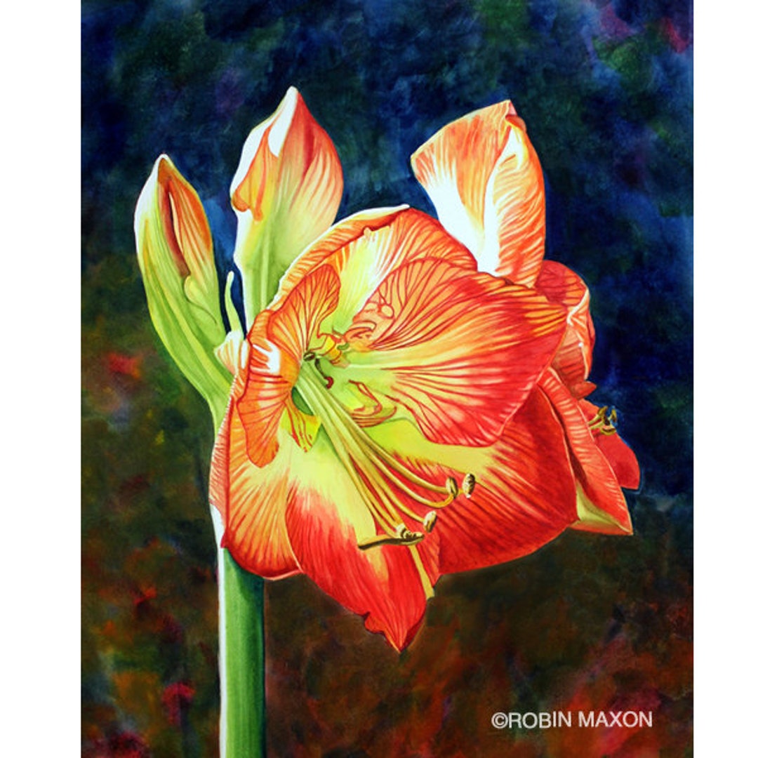 Amaryllis: Aquarell von Robin Maxon Druck Grußkarten orange - Etsy.de