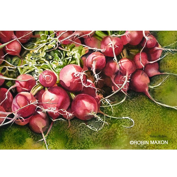Radish - Etsy
