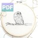 PDF PATTERN - Hand Embroidery Digital Download of Perched Owl on ...