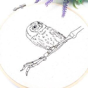 PDF PATTERN - Hand Embroidery Digital Download of Perched Owl on ...