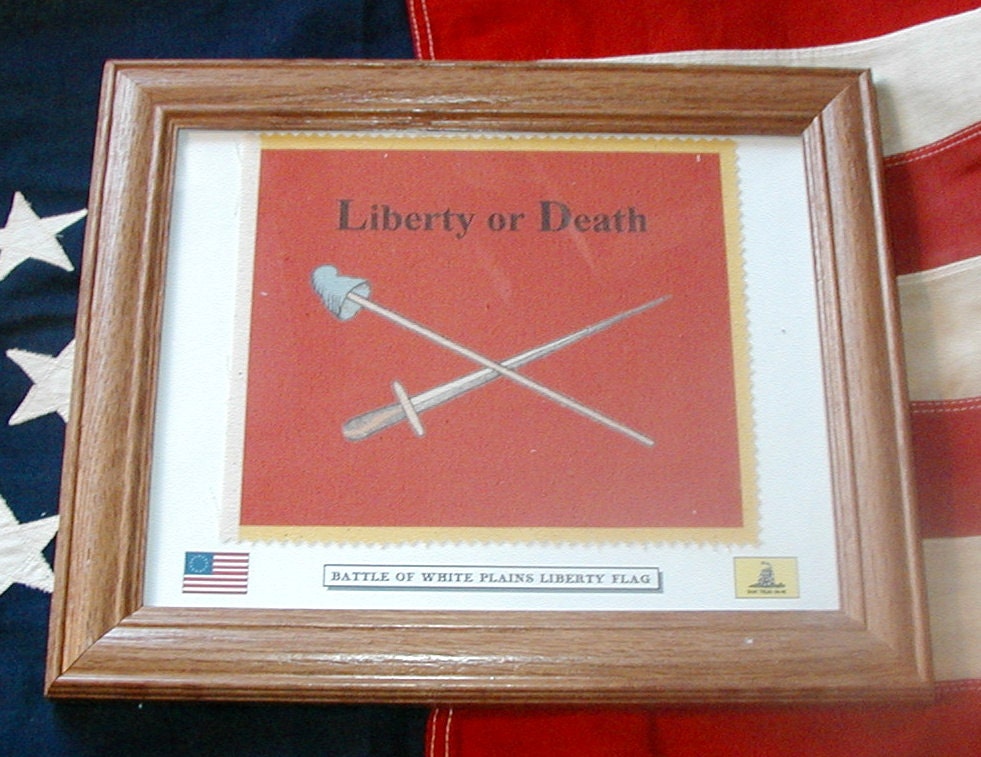 Revaloutionary War Flag