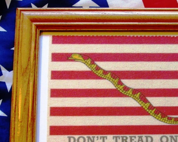 First American Flag Snake