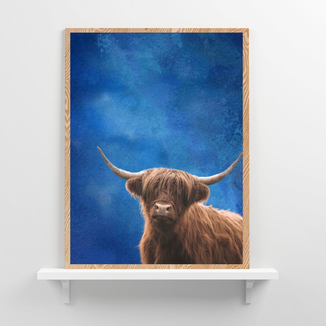 Highland Cow on Watercolour Blue Background. High Quality Print or ...