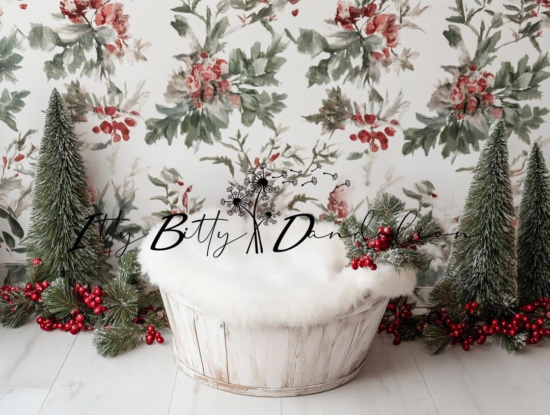 Christmas Newborn Digital Backdrop - Etsy