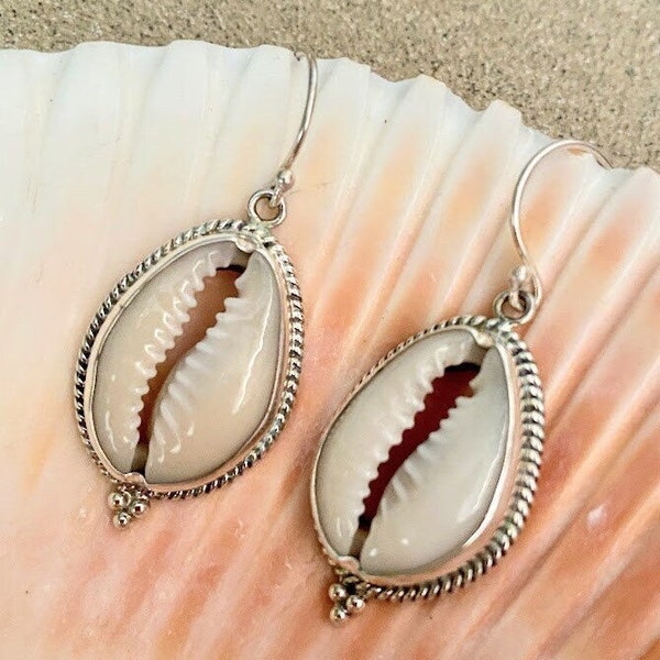 Shell Earrings - Etsy