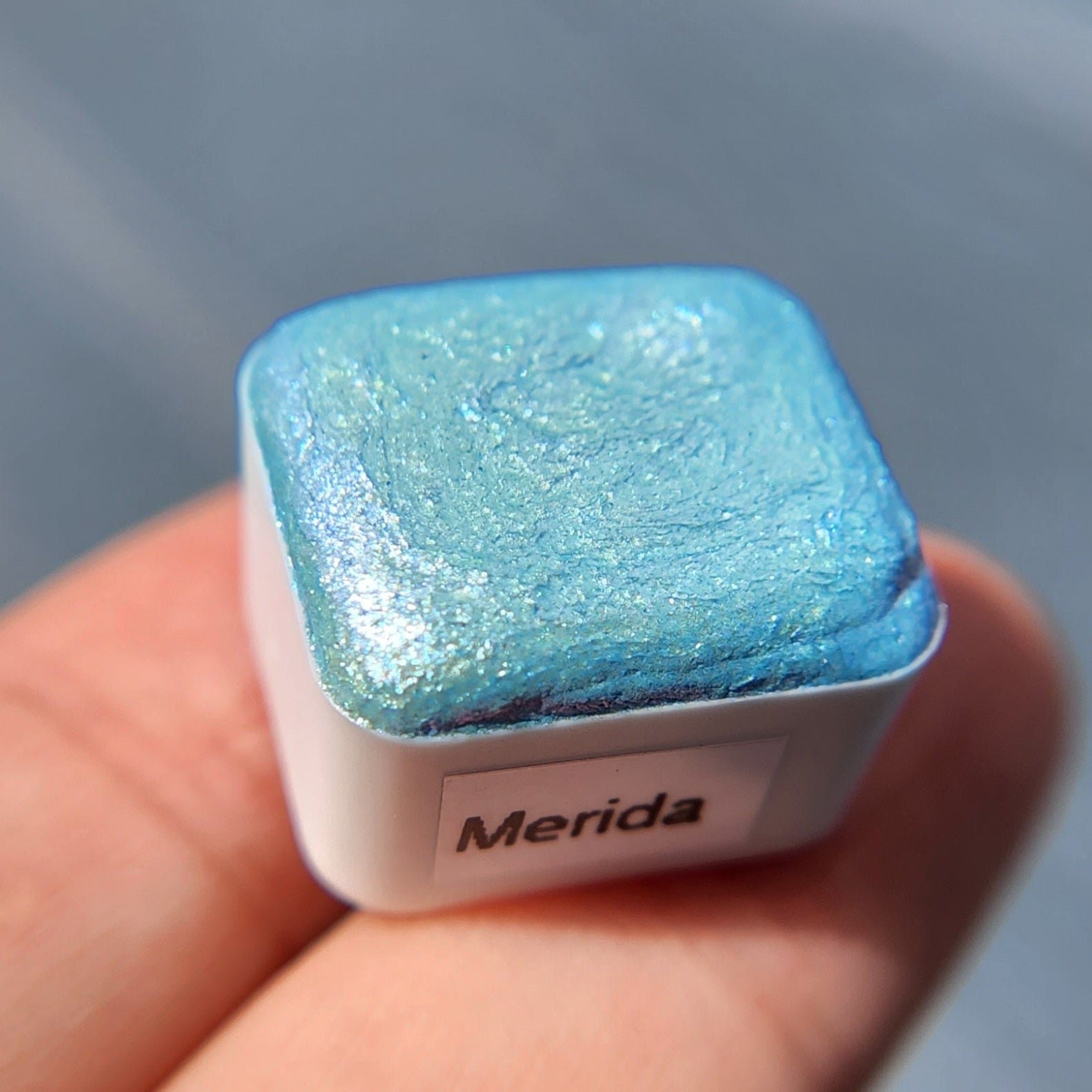 Merida Disney Princess Watercolor Paints Half Pan - Etsy