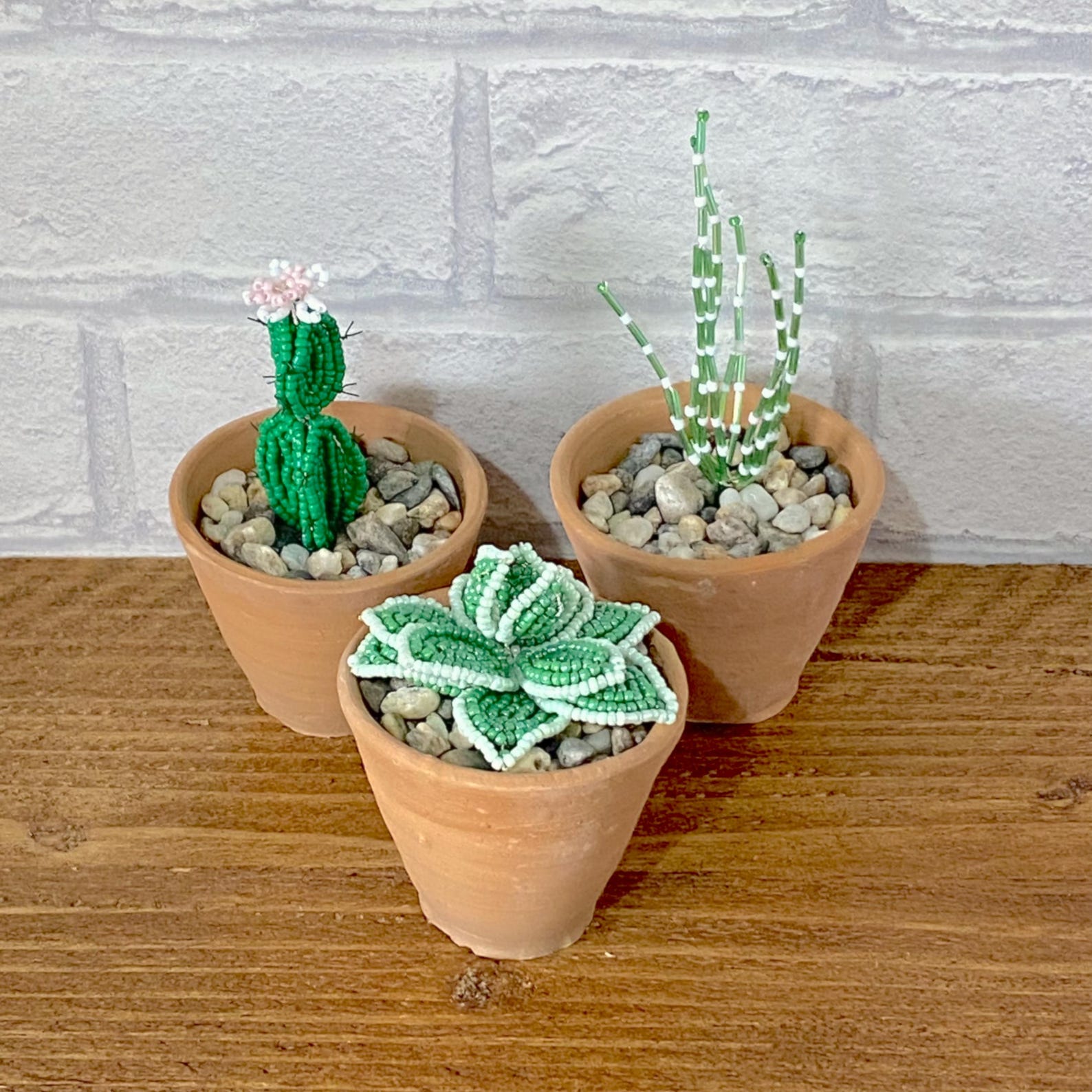 Cactus Collection Craft Kit: Beaded Plant Hobby for Adults - Etsy