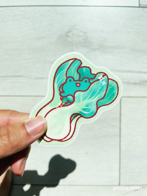 Frog Bok Choy Cabbage Vinyl Sticker / Cute Asian Grocery - Etsy