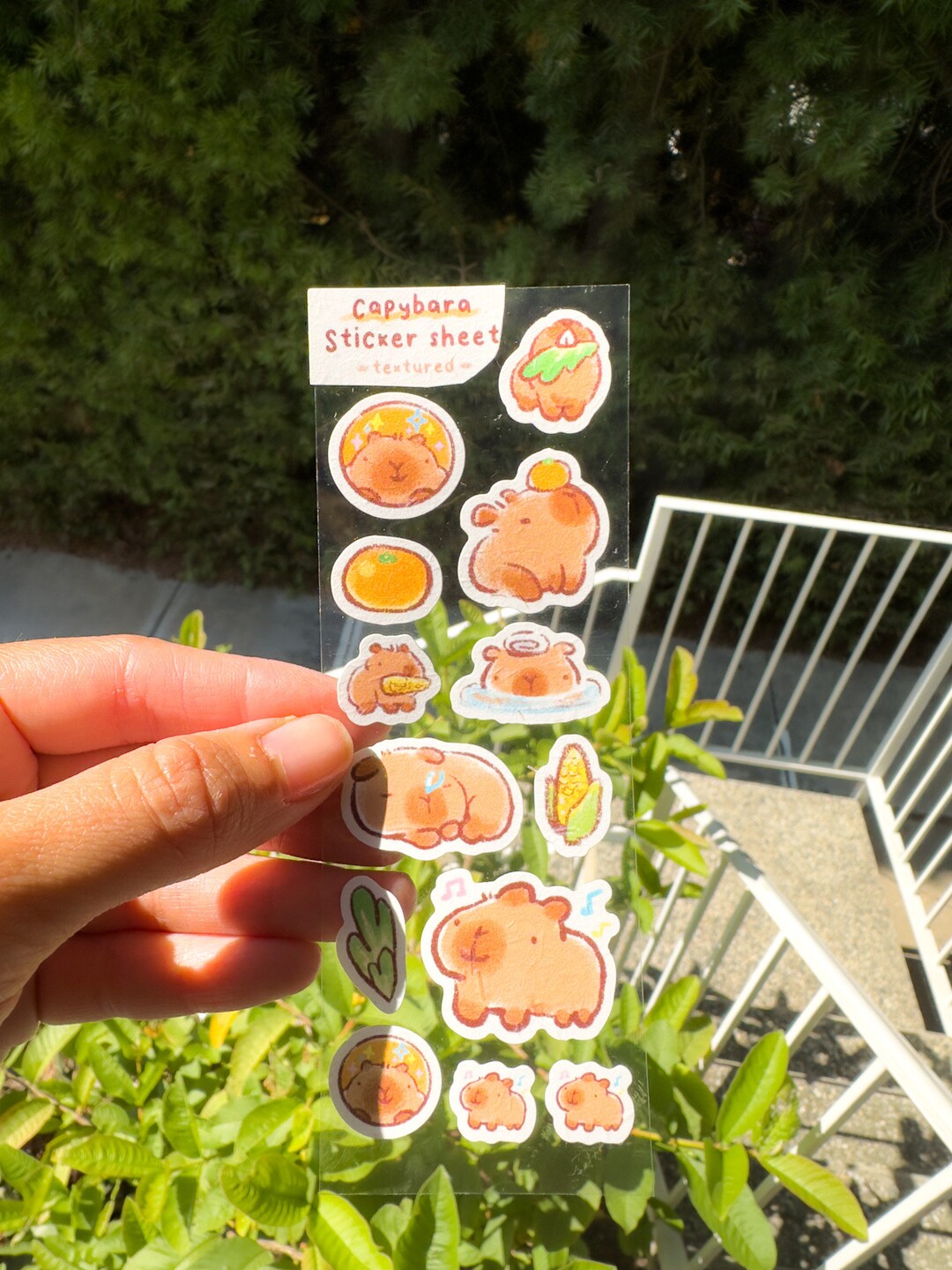 Mini Capybara Texture Sticker Sheet for Hobonichi Bullet Journal - Etsy