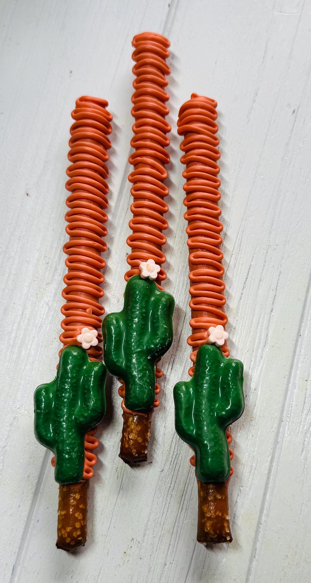 12 Cactus Rust Orange Green Chocolate Covered Pretzels Sweets Table ...