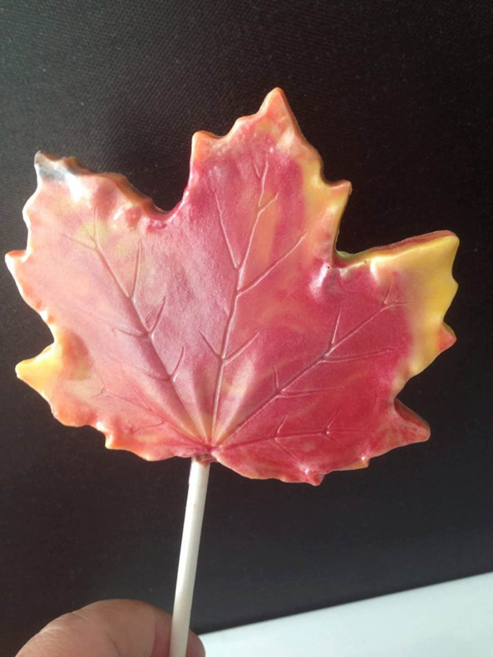 12 Fall Leaf Leaves Chocolate Lollipops Rustic Wedding Favors Candy ...