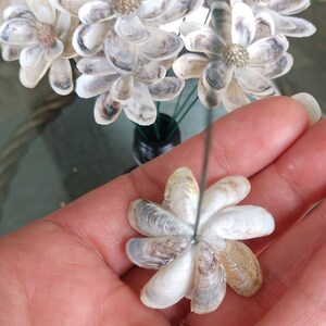 3-mussel Shell Flowers With Snail Center - Etsy