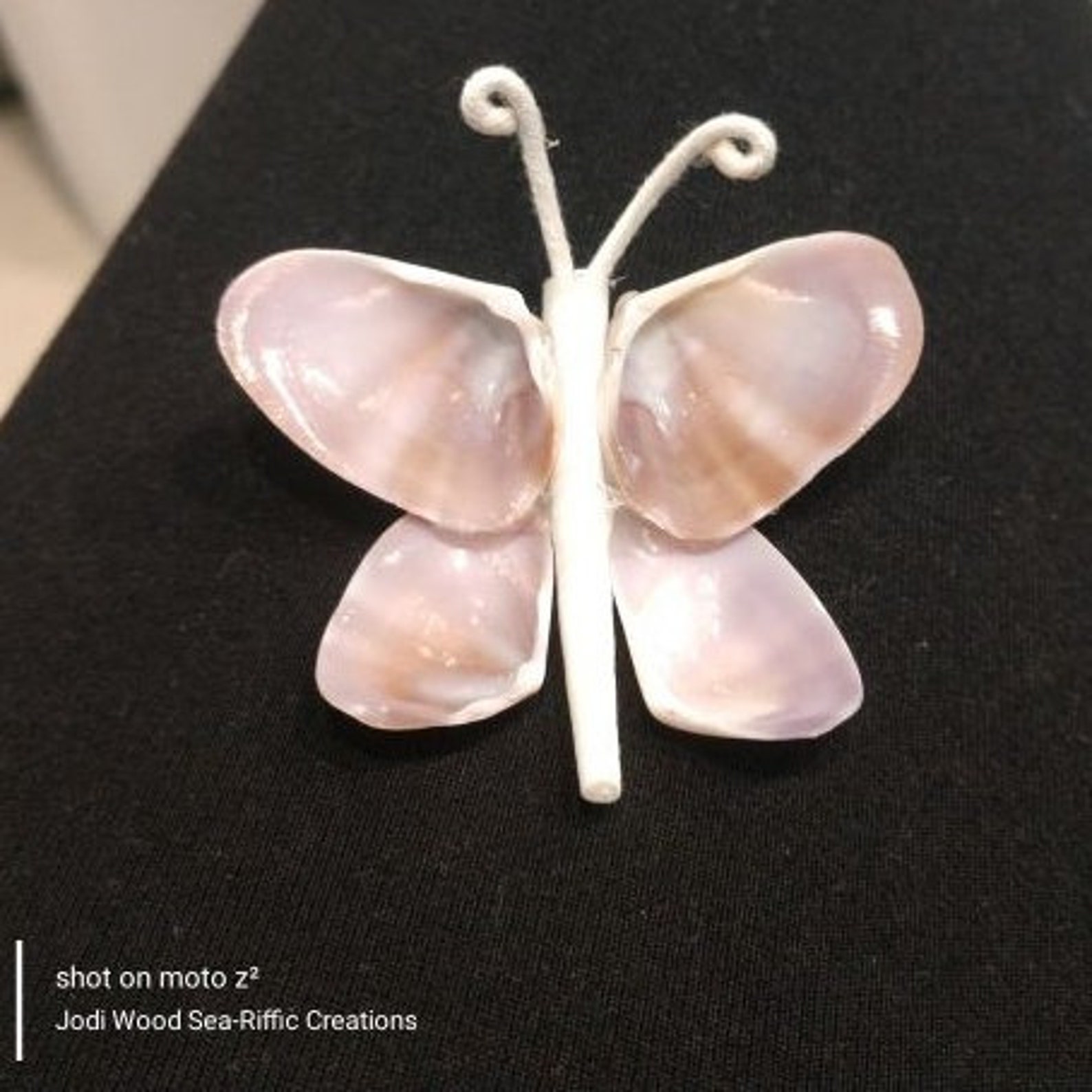 1-seashell Butterfly Magnet/with optional - Etsy
