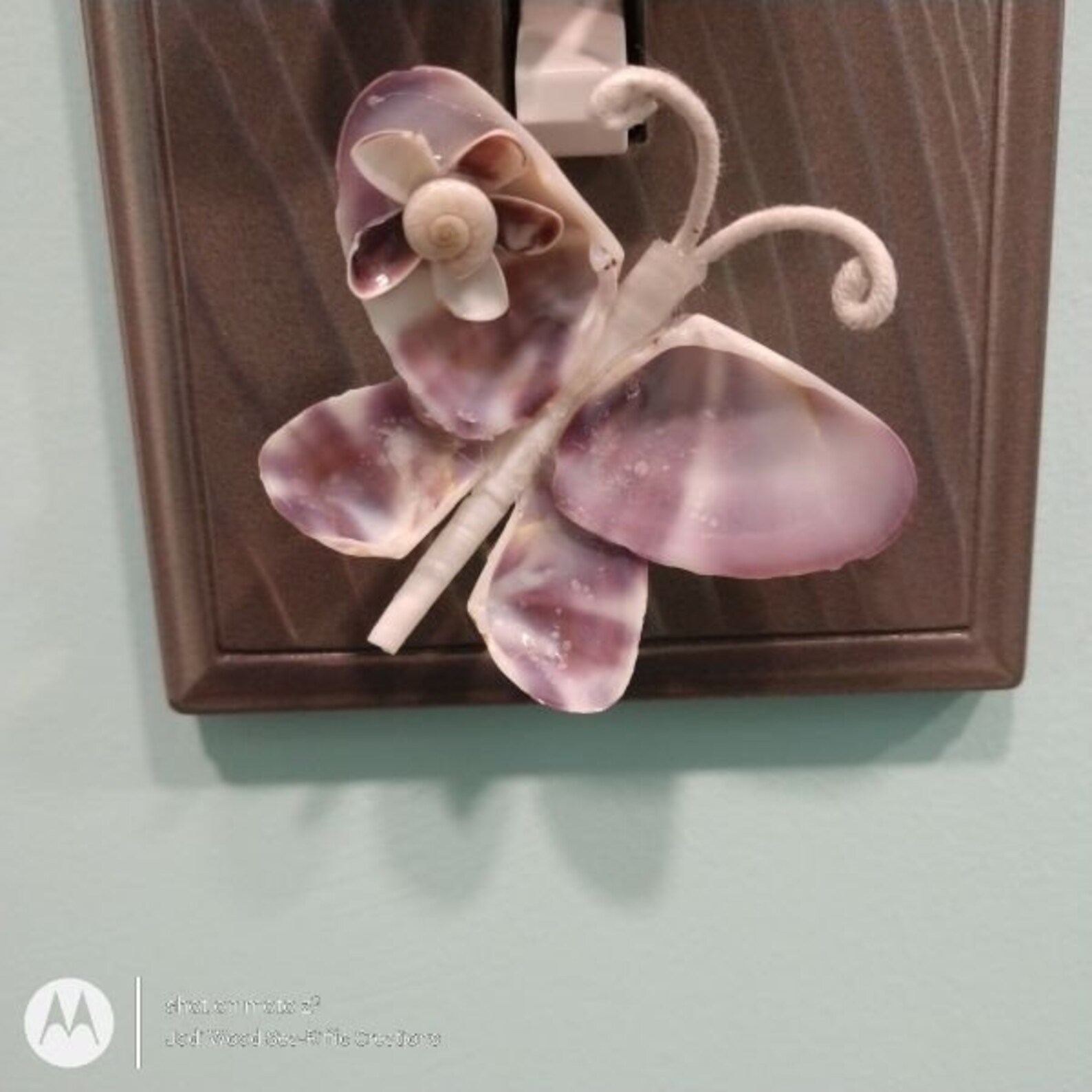 1-seashell Butterfly Magnet/with optional - Etsy