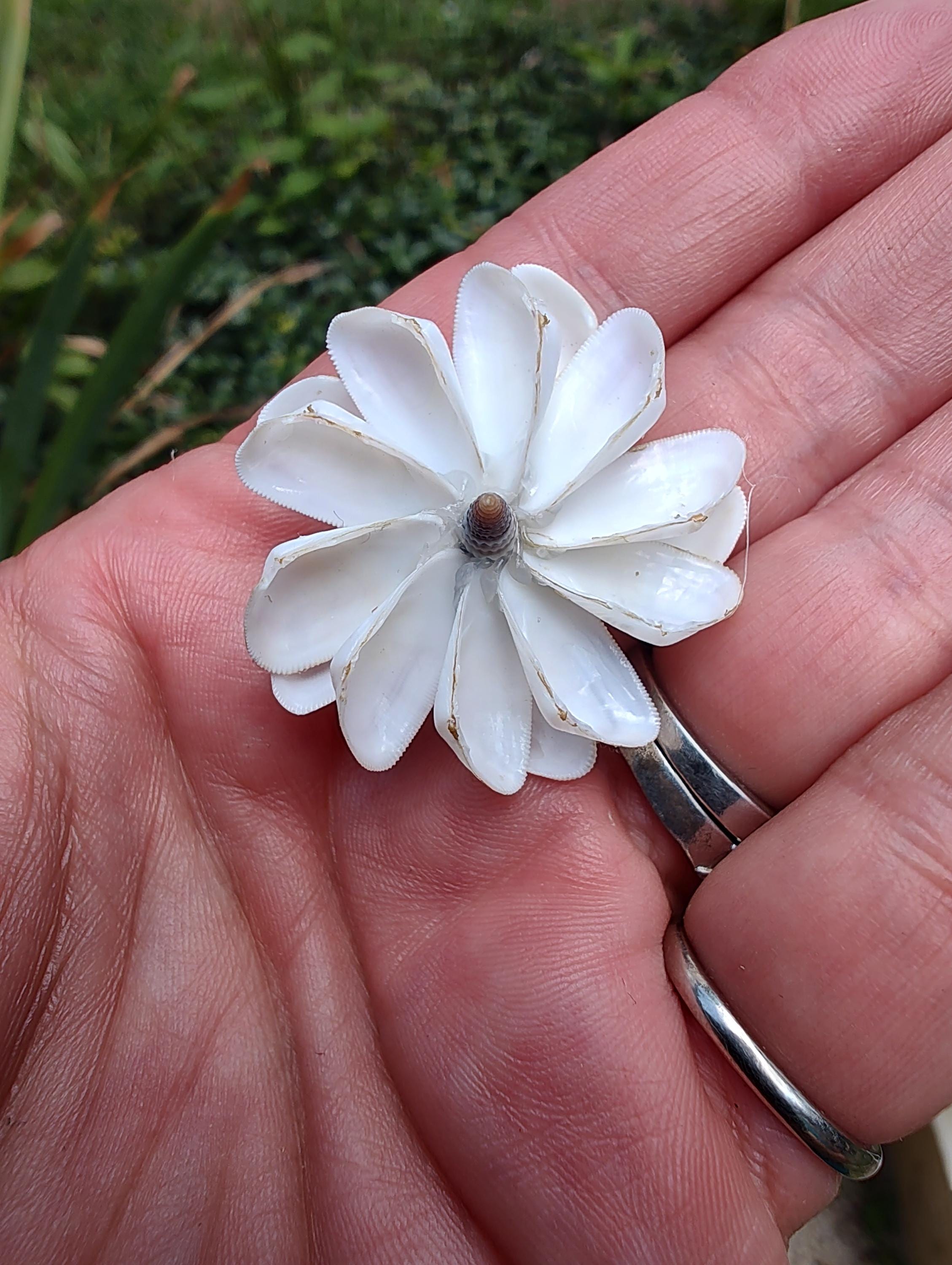 Coquina Shell Flowers: Coastal Home Decor, Set of 3 - Etsy