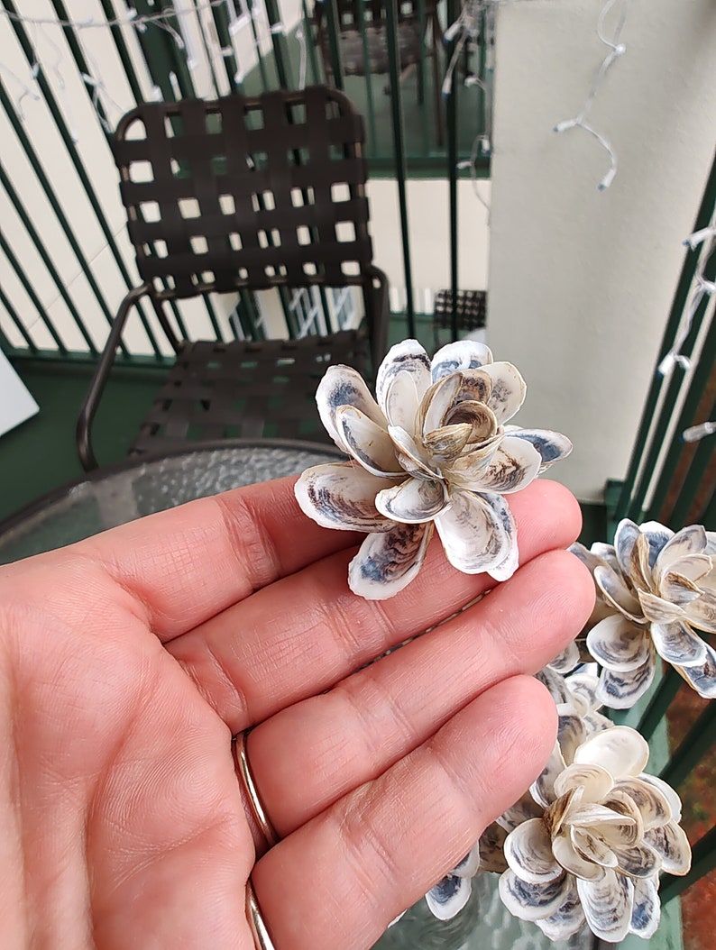 3-blooming Mussel Shell Flowers - Etsy