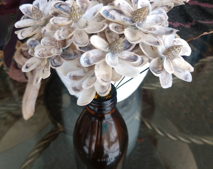 3-mussel Shell Flowers With Snail Center - Etsy