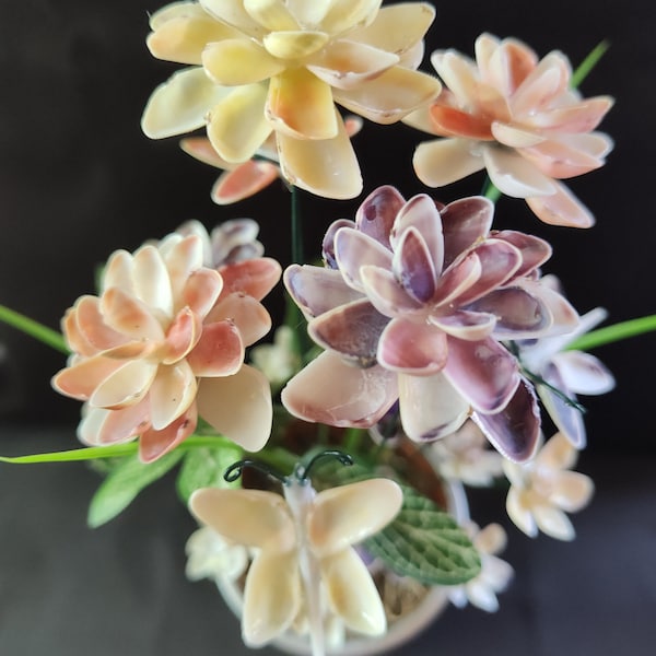 Seashell Flower - Etsy