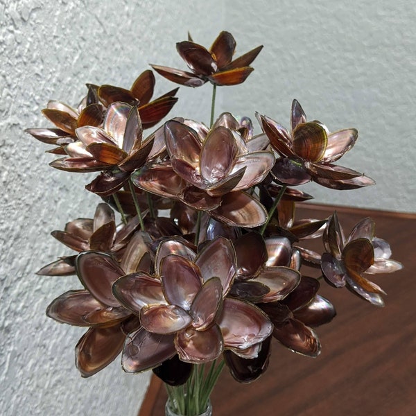 Shell Arrangements - Etsy