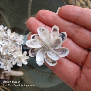 3-mussel Shell Flowers With Snail Center - Etsy