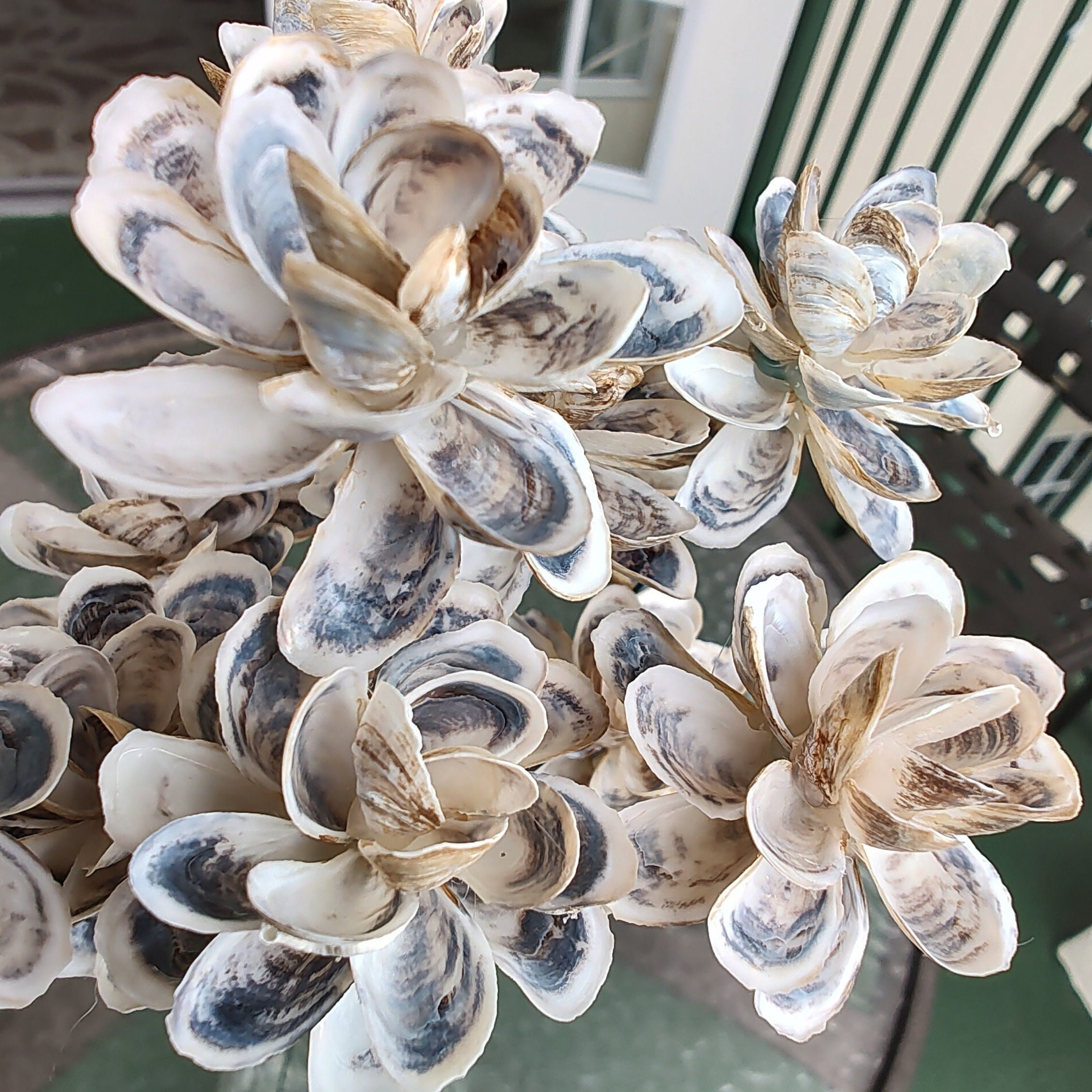 3-blooming Mussel Shell Flowers - Etsy