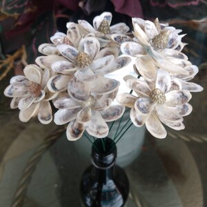 3-mussel Shell Flowers With Snail Center - Etsy