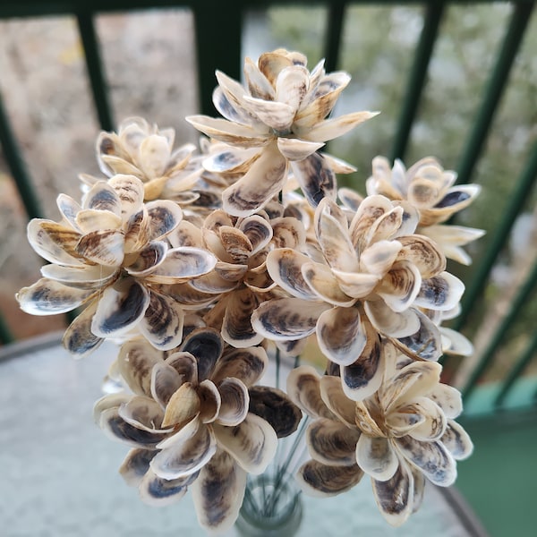 Shell Arrangements - Etsy