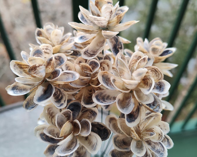 3-blooming Mussel Shell Flowers - Etsy