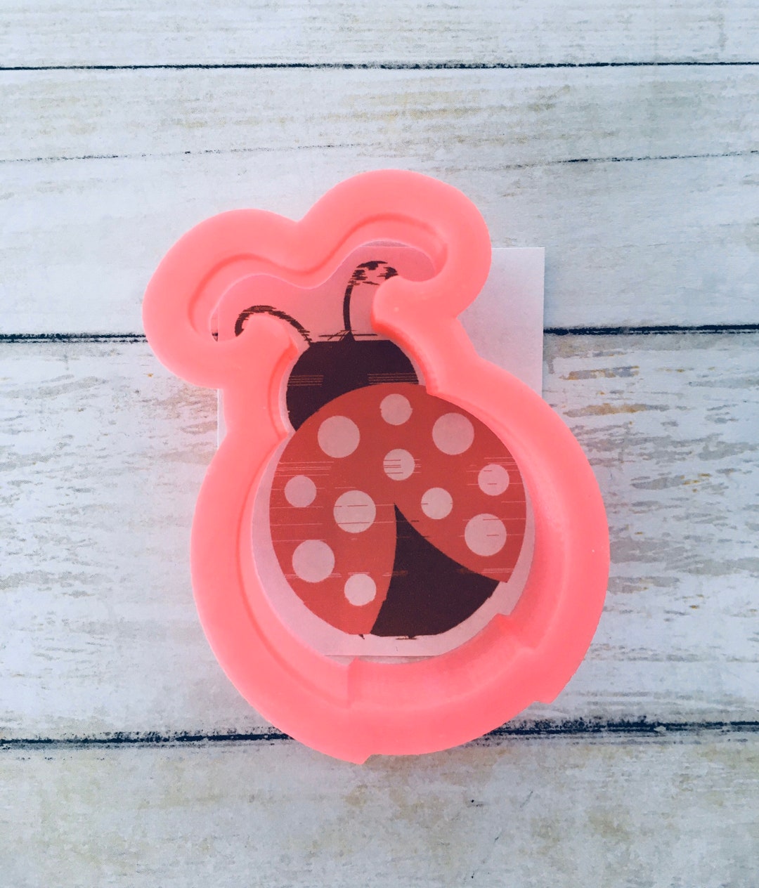 Lady Bug Cookie Cutter Birthday Theme - Etsy