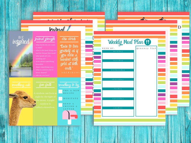 Printable Happy Planner Inserts Planner Inserts Rainbow Day | Etsy