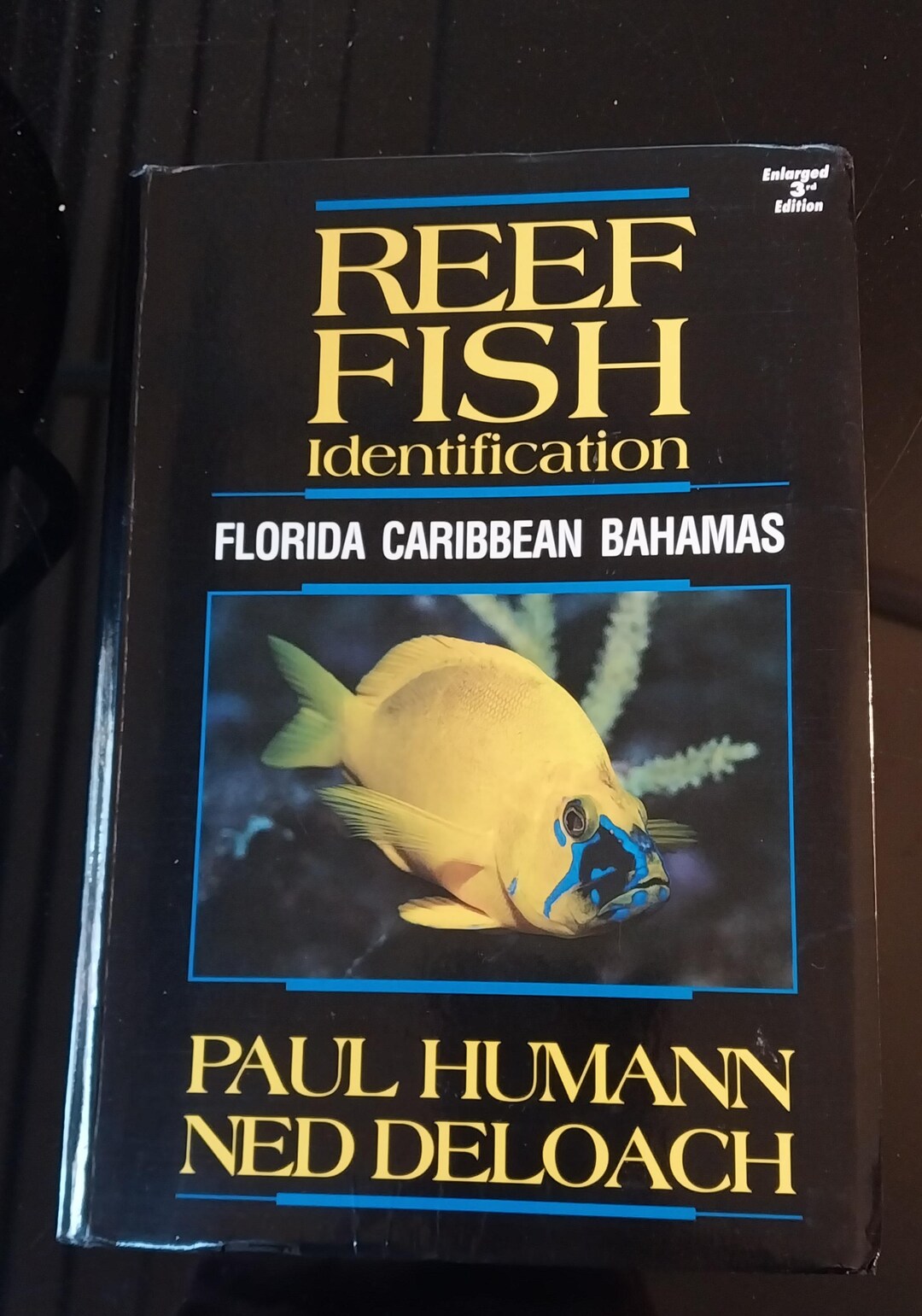 Reef Fish Identification Florida Caribbean Bahamas Paul Humann Ned ...