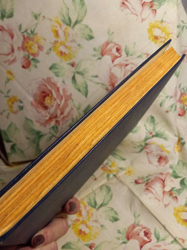 The Gabriel Hounds by Mary Stewart - Etsy