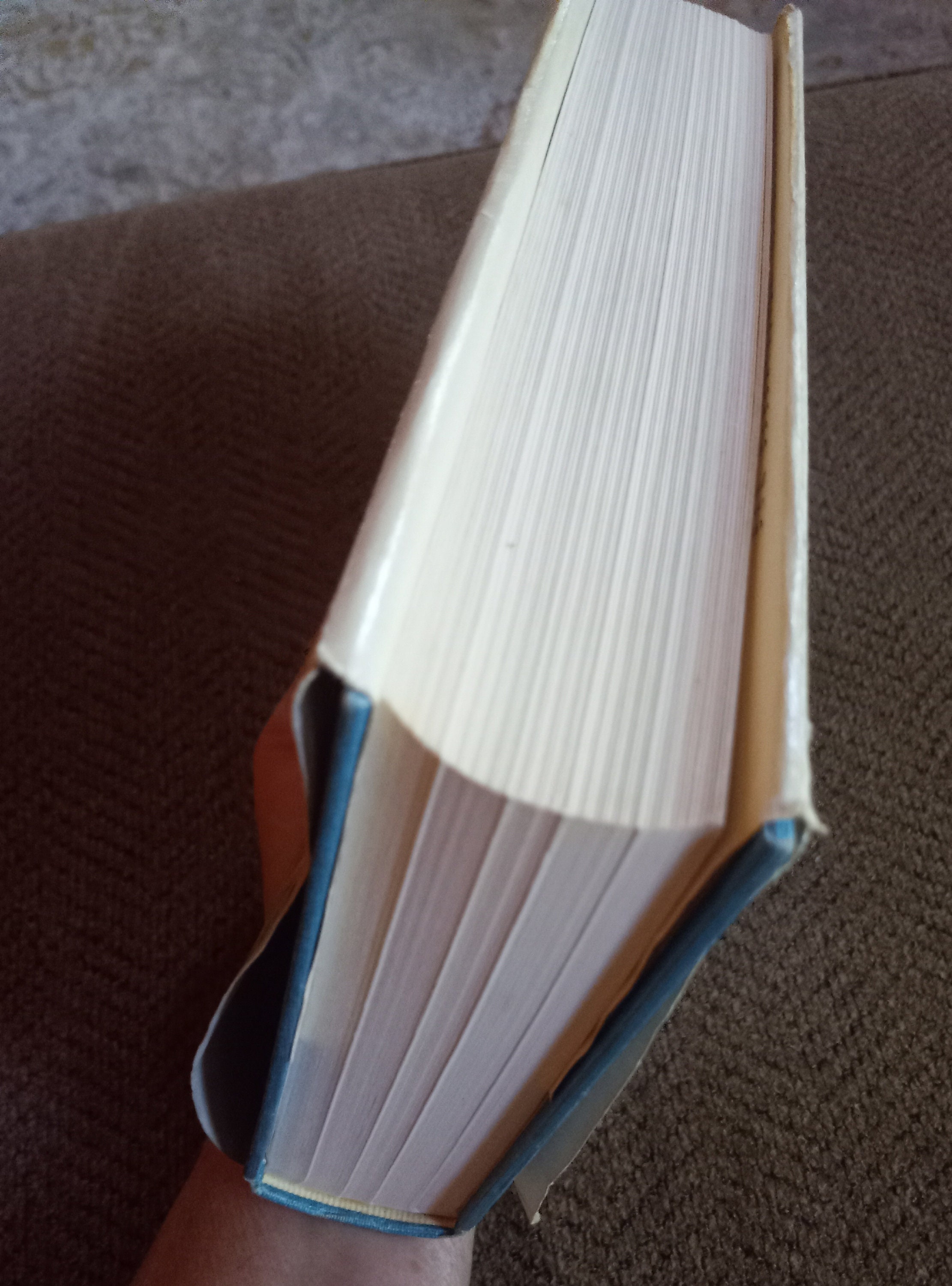 Silver Platter a Portrait of Mrs John Mackay by Ellin Berlin - Etsy