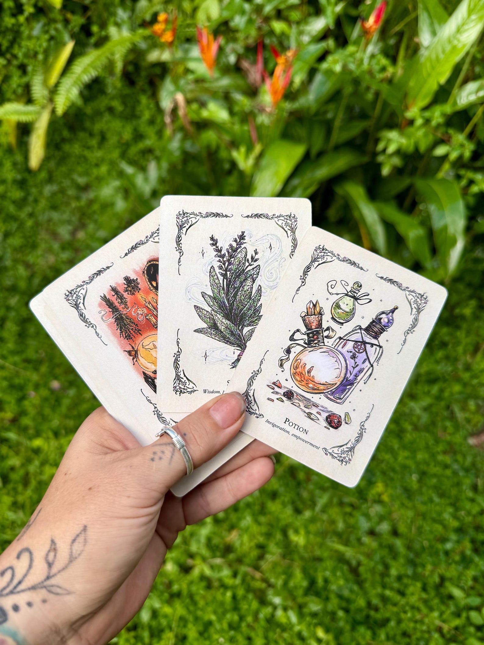 The Green Witch Oracle - Wisdom and Insight by Arin Murphy-hiscock ...