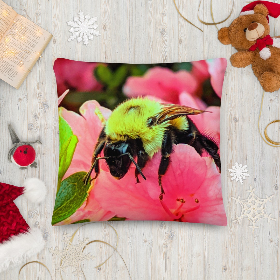 Buzz Buzz Bumble Bee! up Close and Personal With This Lively Bumble Bee ...