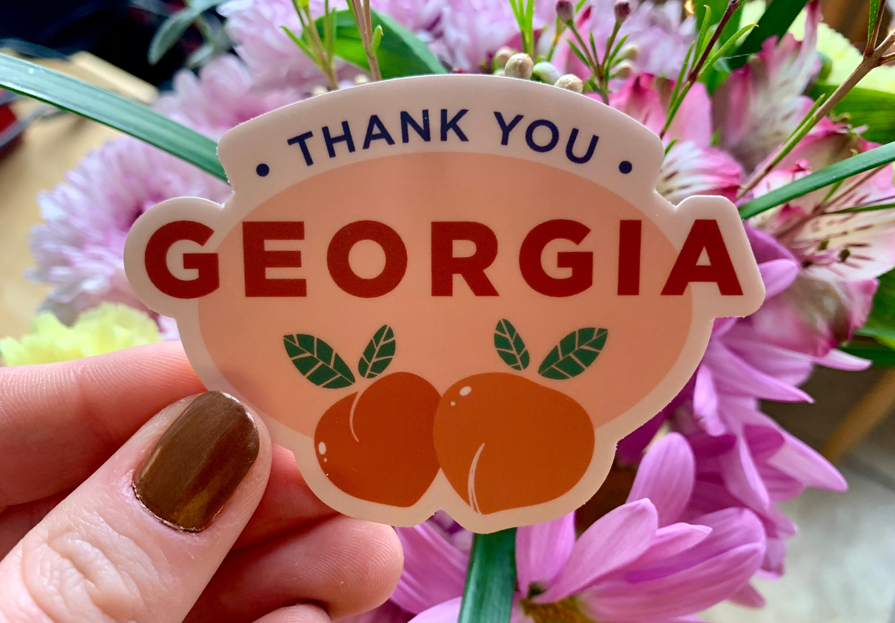 Thank You Georgia MAGNET (democrat | Leftist | Vote Blue | Progressive ...