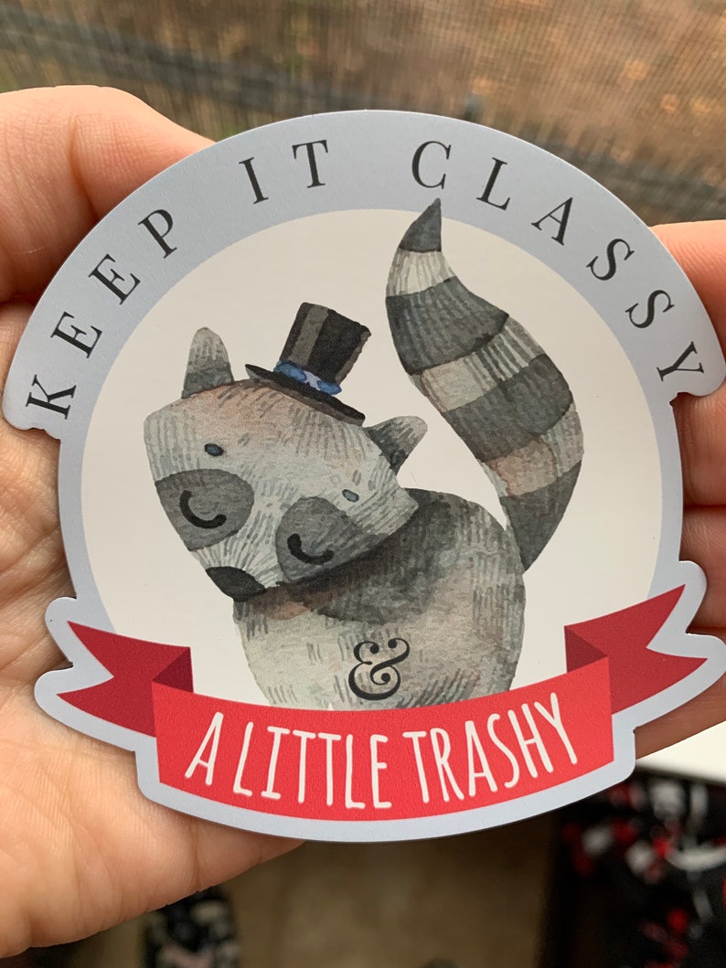 Keep It Classy & A Little Trashy Raccoon Wearing Hat STICKER - Etsy
