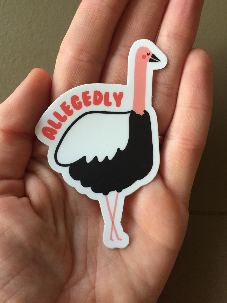 Allegedly Ostrich Magnet - Etsy